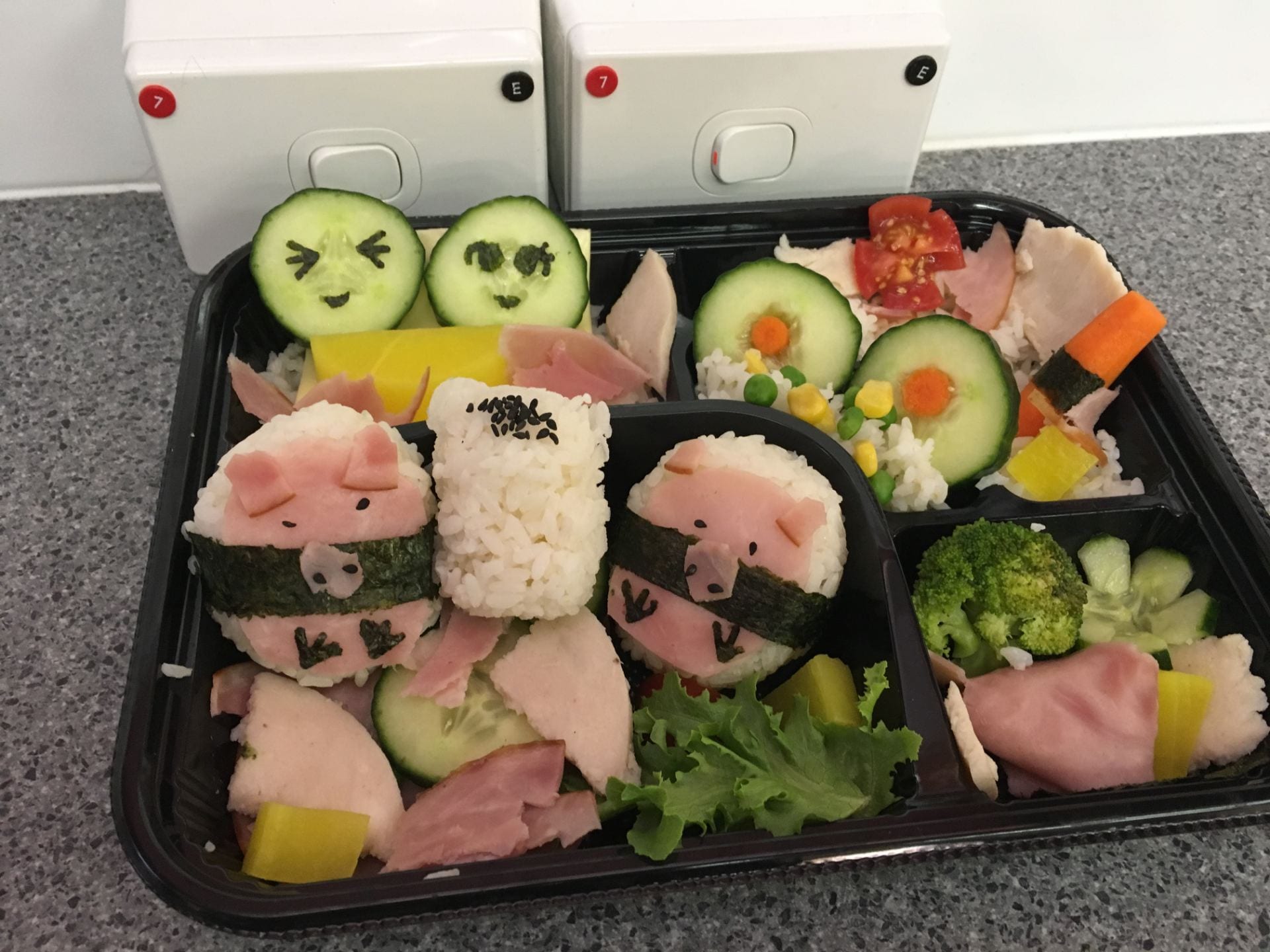 Years 4/5 Obento Master